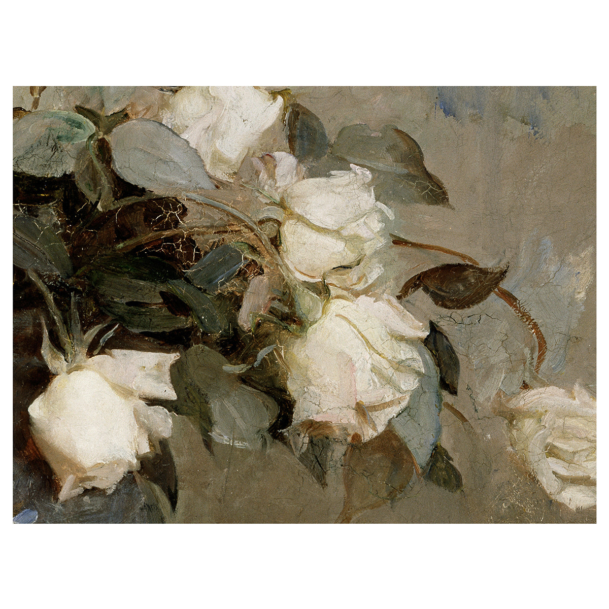 Amelia Roses Love Sort Of