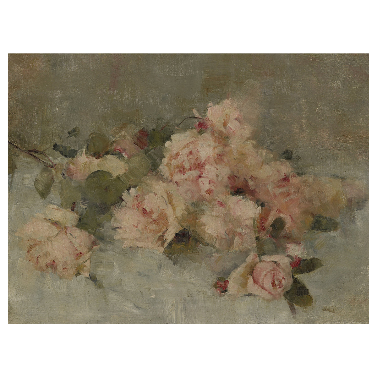 Shy Roses – Love sort of