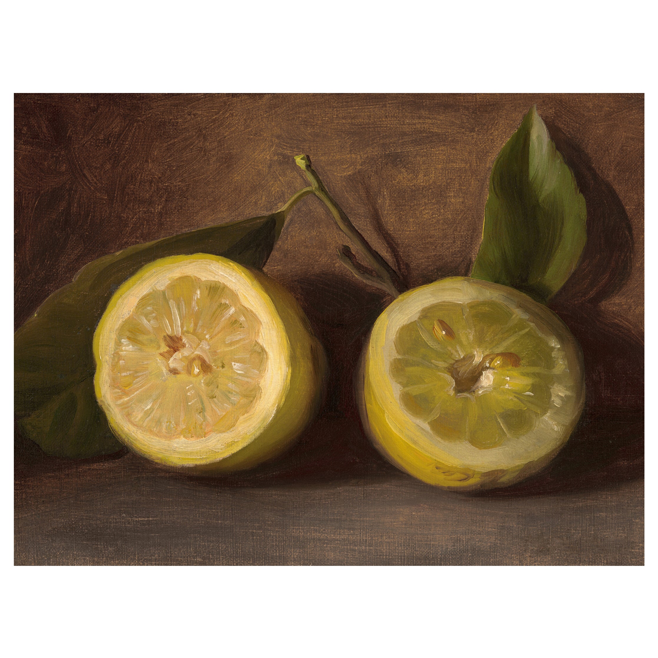 Still Life of Lemon – Love sort of